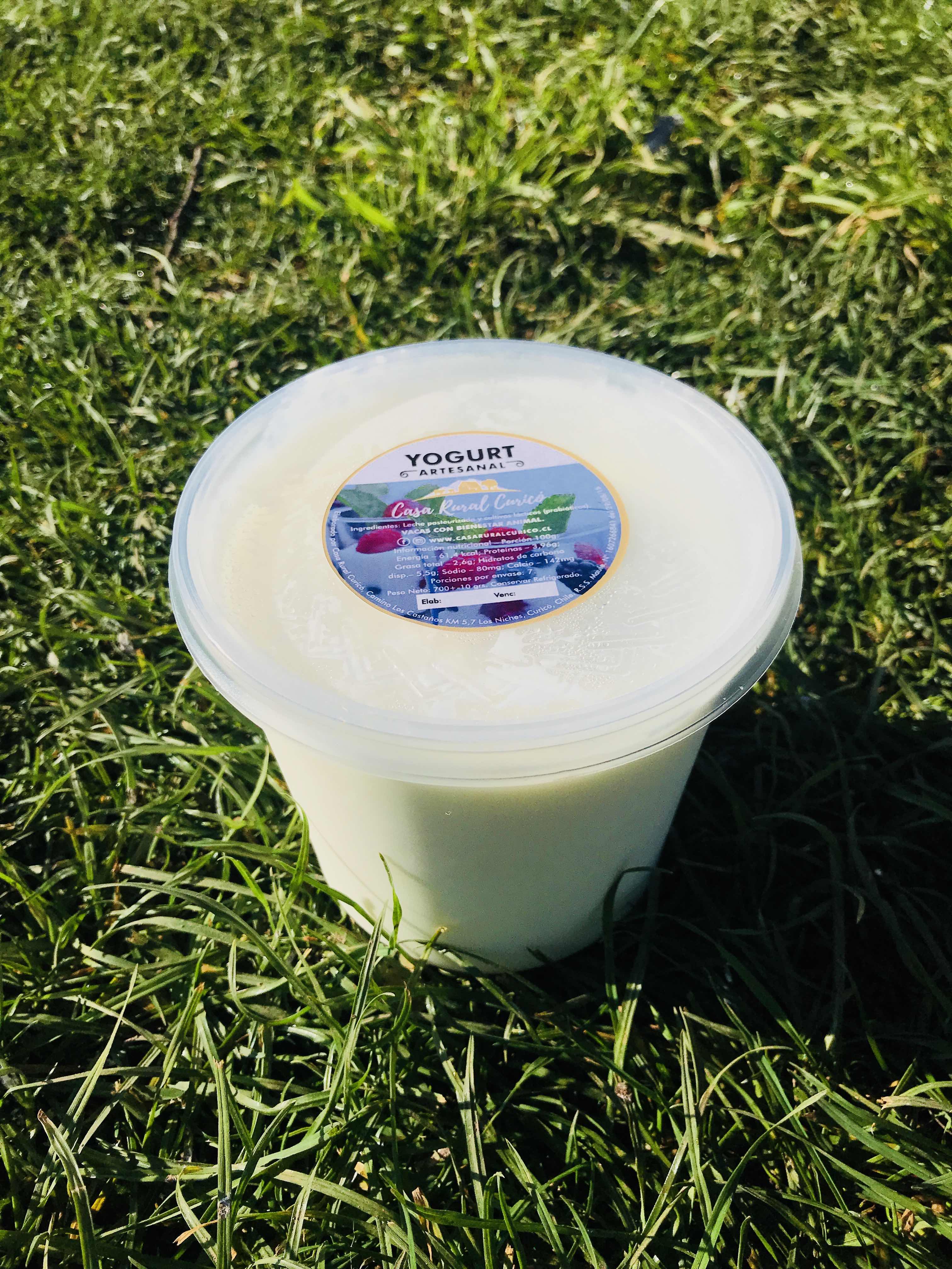[:es]Yogurt Artesanal [:] | Casa Rural Curico